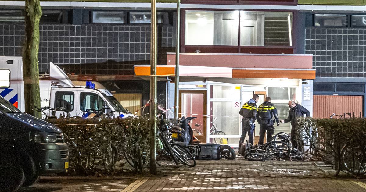 Dode bij schietincident Zwolle zou 38-jarige flatbewoner zijn, politie doet nog volop onderzoek ...