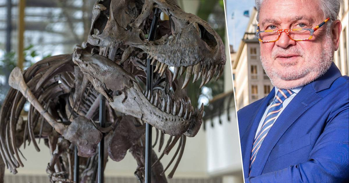 T.Rex skelet van 5,6 miljoen euro komt naar België: veilinghuis onthult dat ‘Trinity’ werd ...