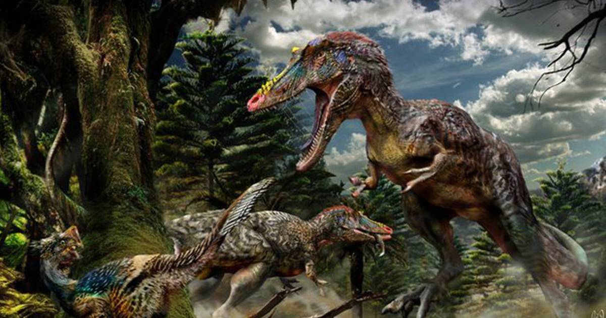 Tyrannosaurus met bijzonder lange neus heet 'Pinocchio Rex ...