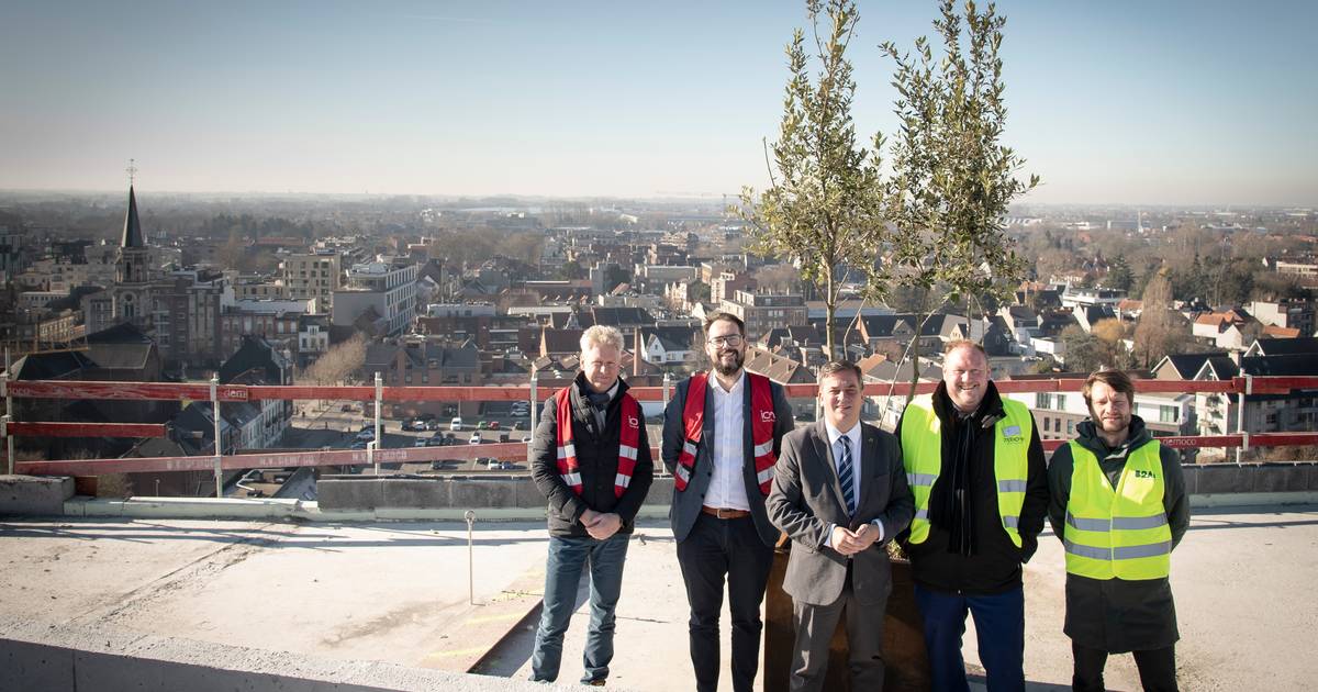 Meiboom gezet op 46,13 meter hoogte: ruwbouw Roelevard klaar, eerste ...