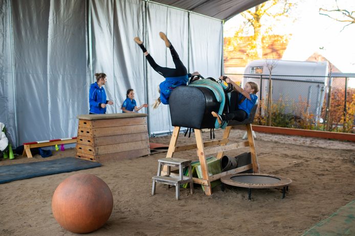 Turn eens op een rijdend paard: “Vooral evenwicht en kracht zijn bij ...