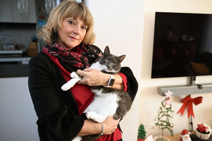 Onbekende vuurt kogel met loodjesgeweer op kattin Marcelle (3 ...