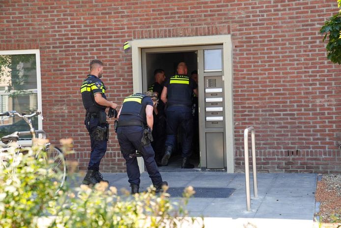 Steekpartij in Helmond: vrouw (60) raakt zwaargewond, verdachte (33) opgepakt | Helmond | ed.nl