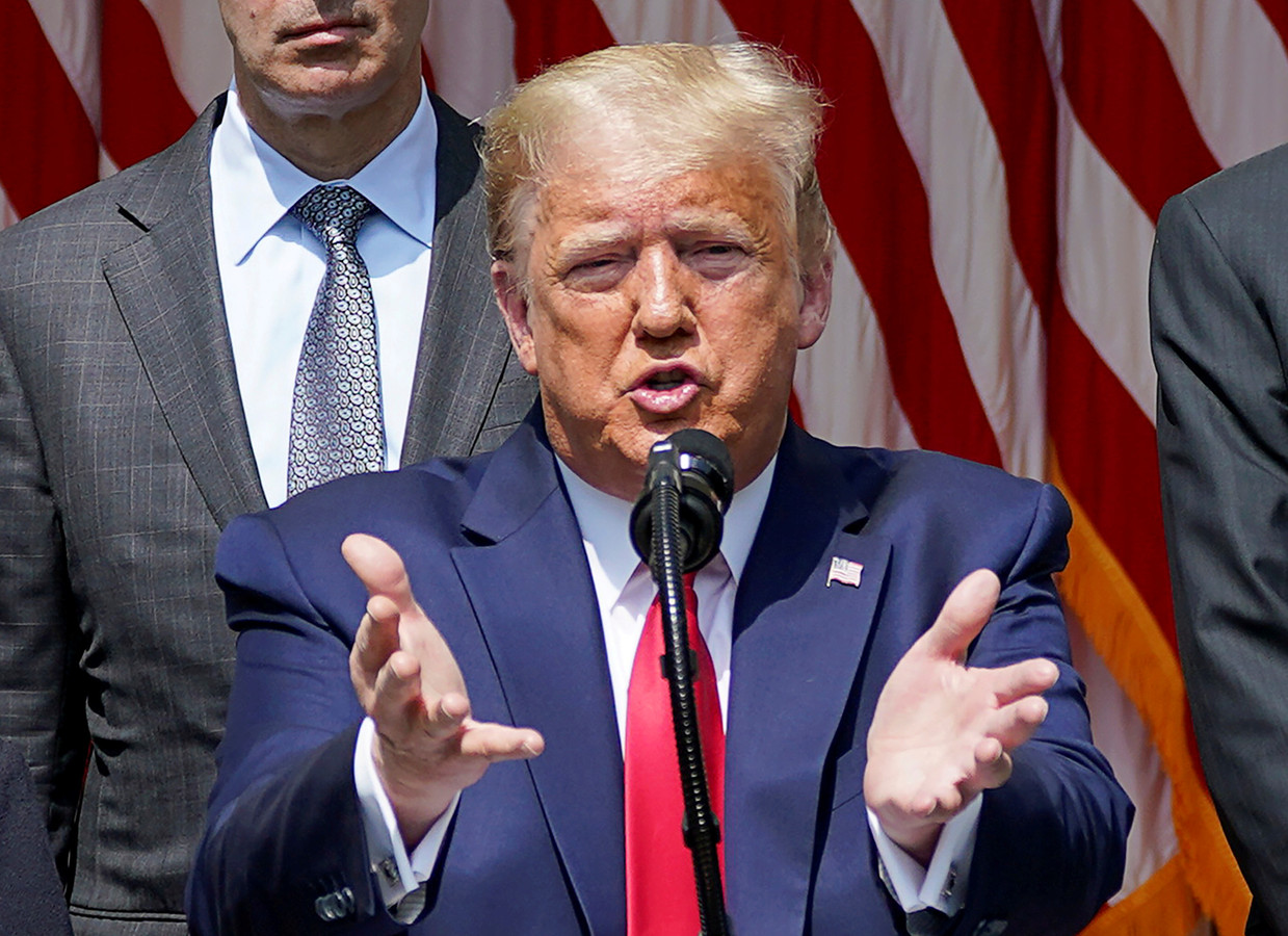 Trump schrapt jachtverbod op jonge beren en wolven | Foto | AD.nl