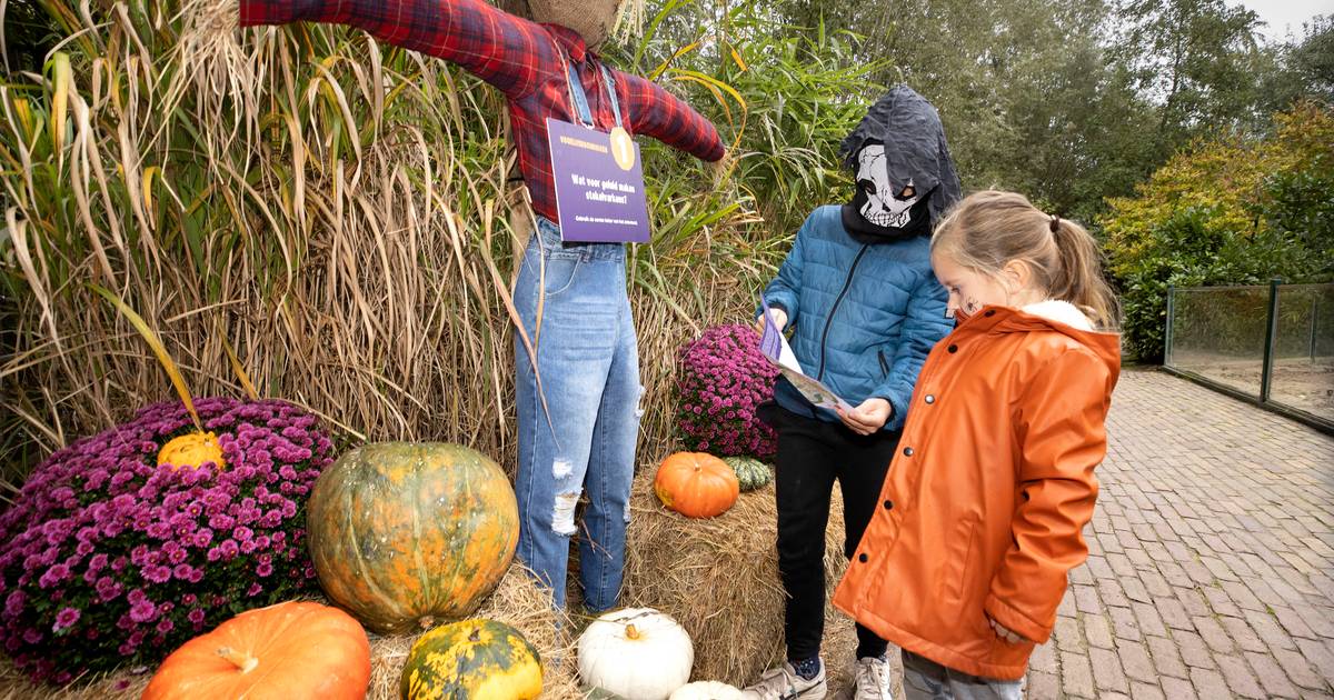 Een brullende tijger en een sterke olifant: Halloween is slechts ...