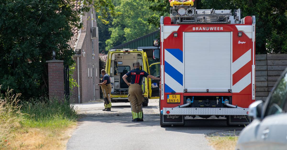 Meisje (15) krijgt mestvork in been tijdens het werk | Home ...