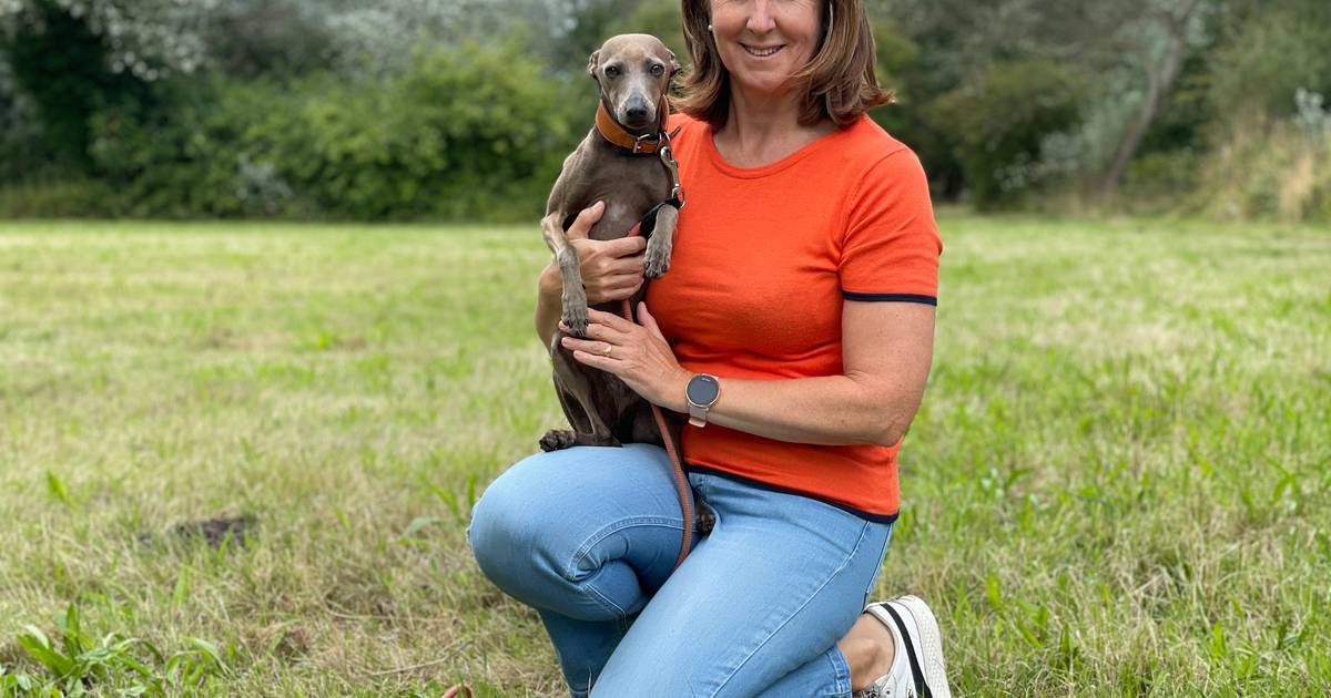 Administratief bediende Tania (54) gooit leven om en start carrière als ...