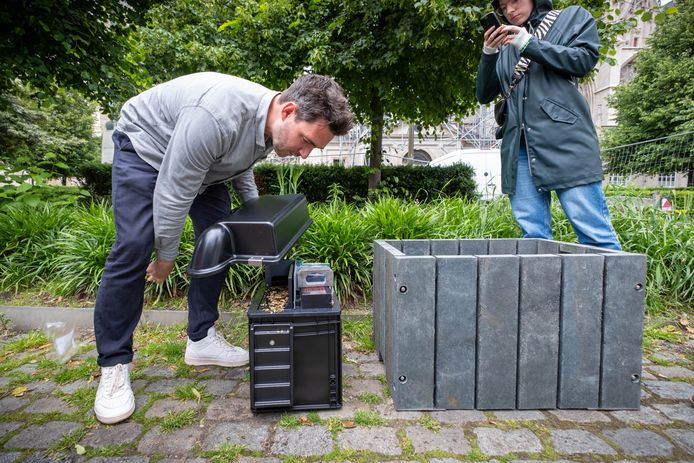 Stad plaatst eerste gifvrije rattenvallen: “Het aantal ratten neemt toe ...