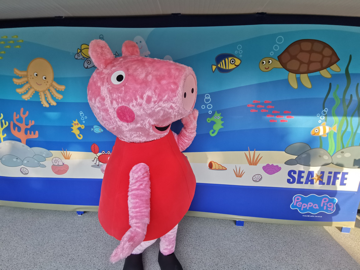 SEA LIFE Blankenberge verwelkomt Peppa Pig tijdens de zomermaanden ...