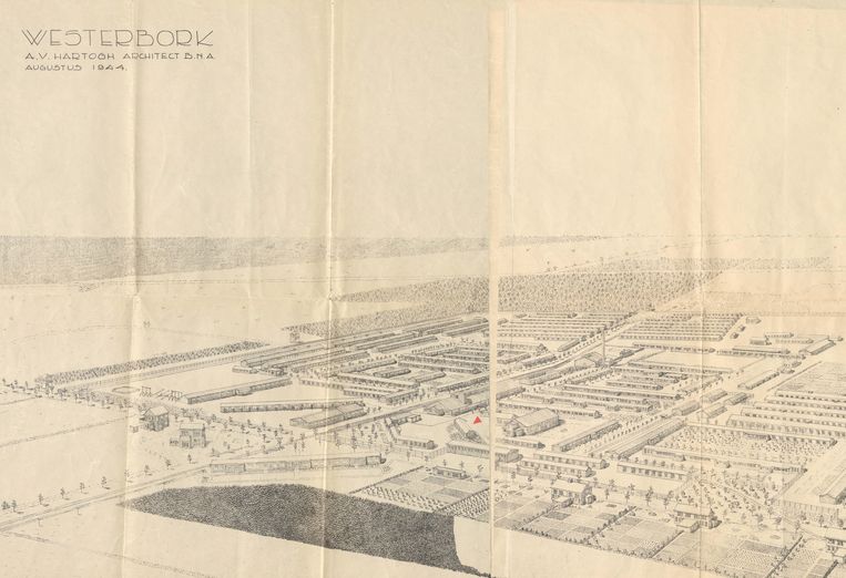 Deze stellen trouwden in Kamp Westerbork, te midden van de gruwelen van ...