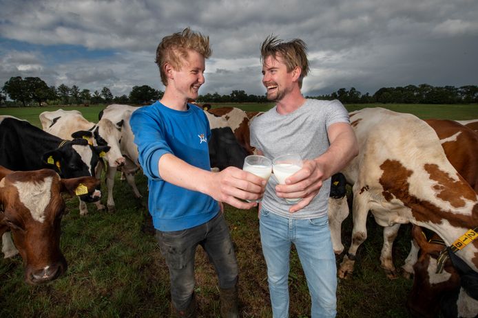 Van ‘biljartlaken’ naar kruidengras bij ALDI-boer in Wijhe: gaat de melk dan anders smaken ...
