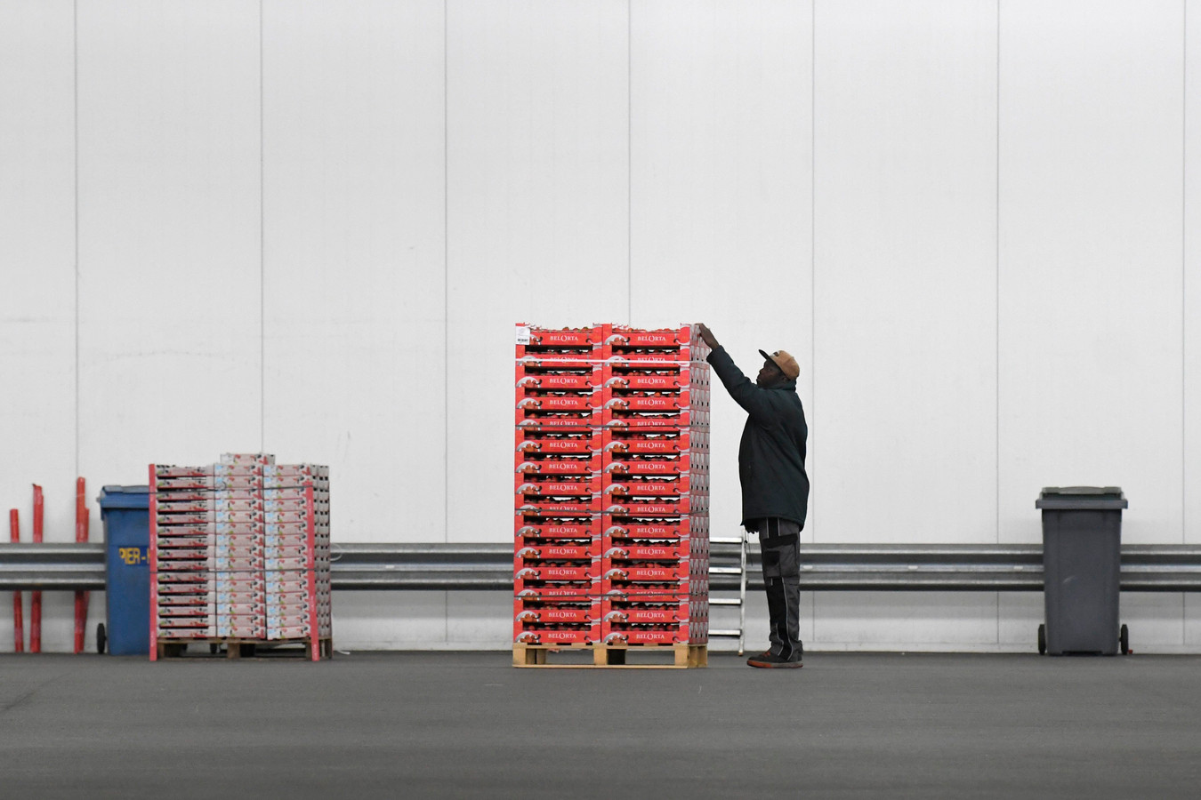 BelOrta en Belgische Fruitveiling gaan samenwerking aan | Foto | hln.be