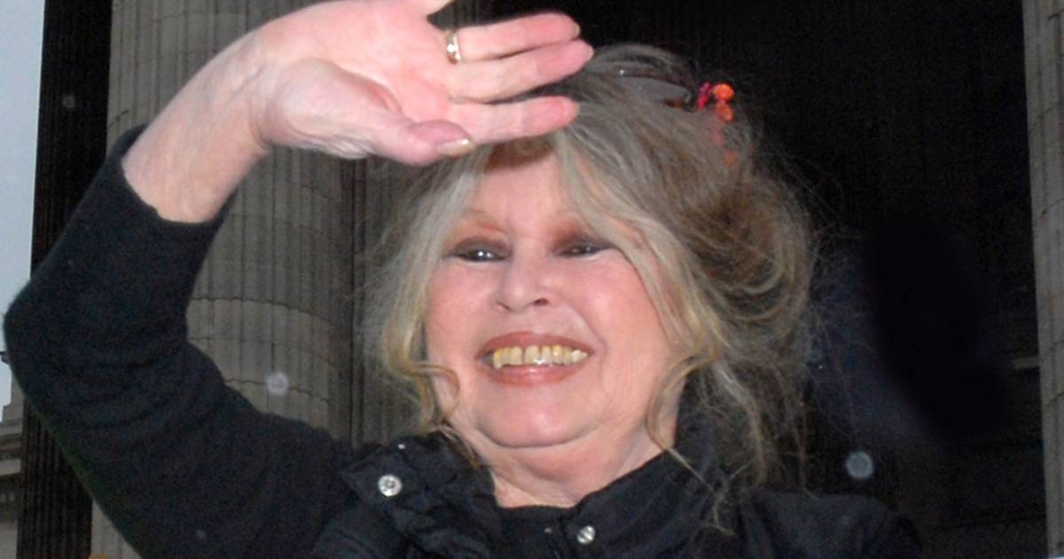 Opgenomen Brigitte Bardot voelt zich ‘beter’ | Show | gelderlander.nl