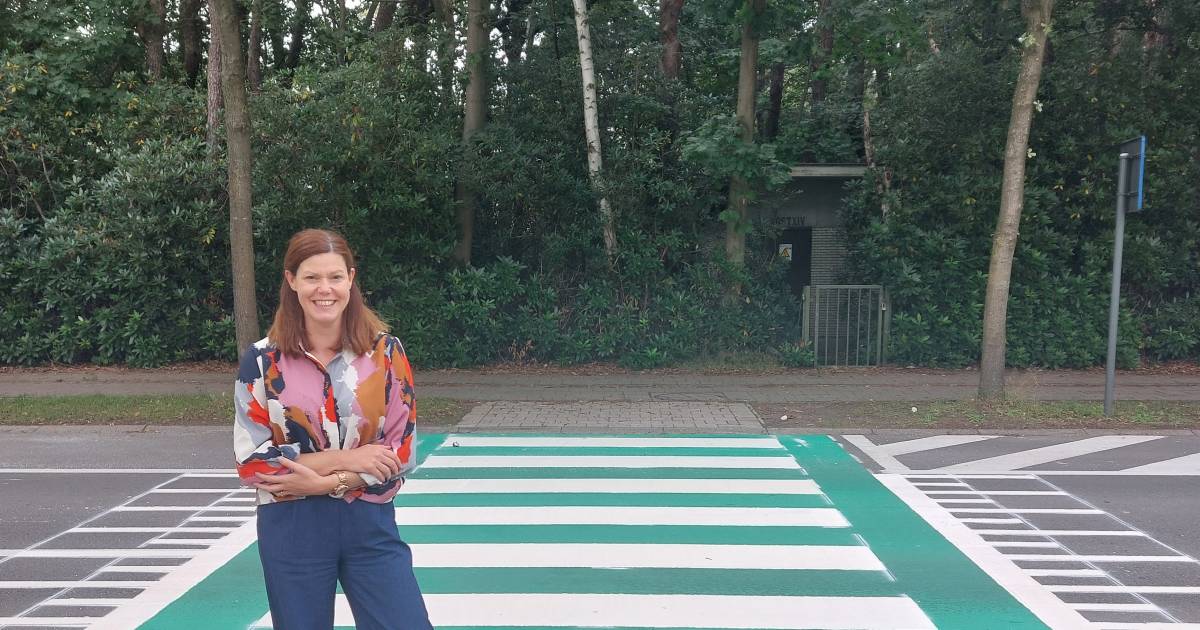 Zeven extra ‘groene zebra’s’ verschijnen in Brasschaat: “Zorgt voor veiligere schoolomgeving ...