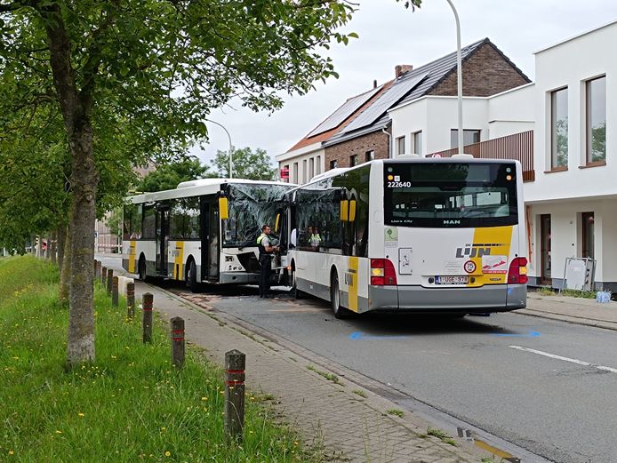 Lijnbussen rijden frontaal op elkaar in Kieldrecht: 11 gewonden ...