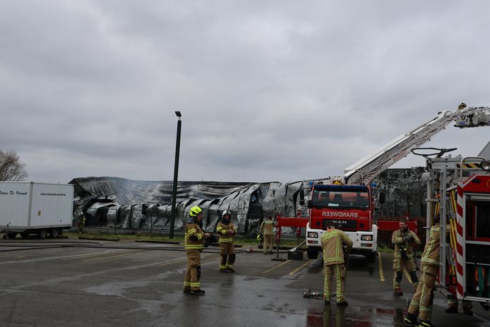 Busbedrijf volledig in de as gelegd bij zware brand: vijftien bussen en ...