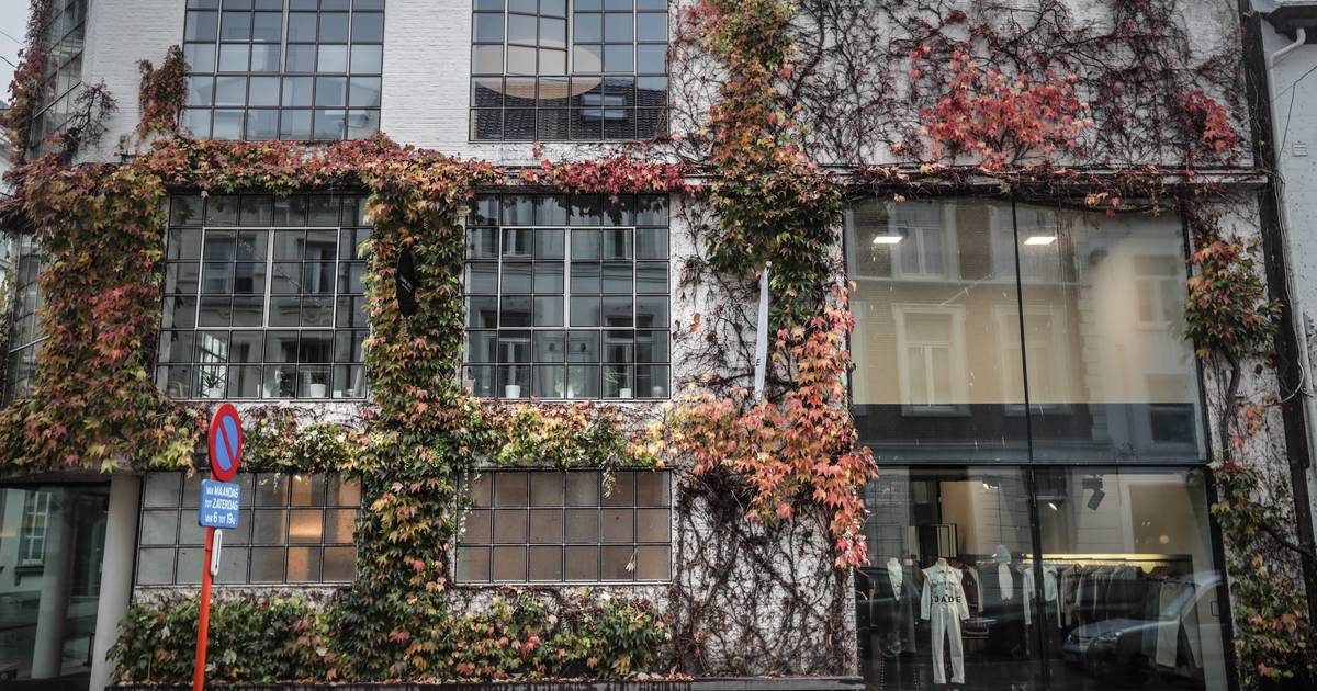 Lezing over klimaatbestendig wonen in Bib | Waregem | hln.be