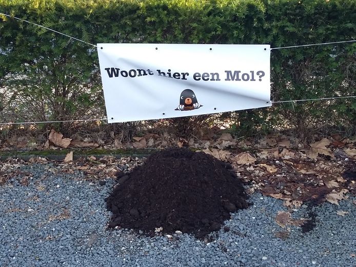 Molshoop voor woning van 'mol' Jochem van Gelder | West Maas en Waal ...