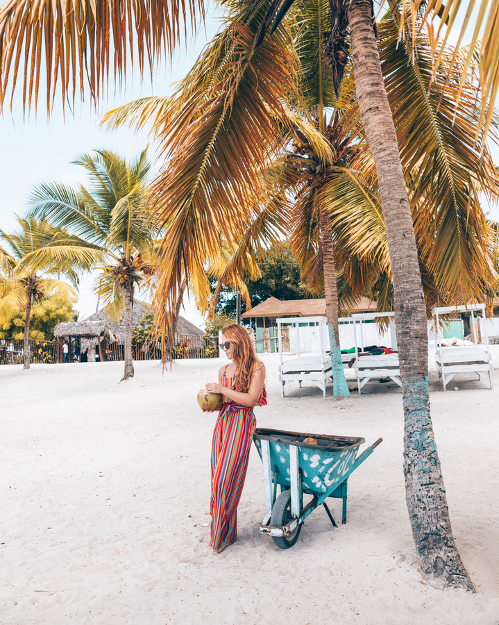 Lieke (37) werd erg ziek door corona en schreef reisboek als escape ...