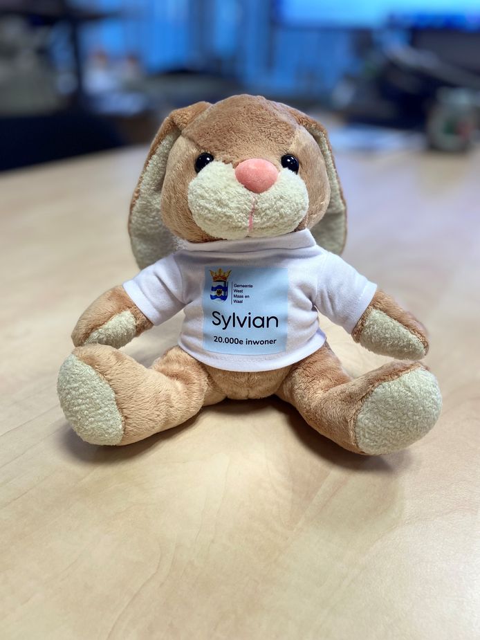 Sylvian uit Boven-Leeuwen is de 20.000e inwoner van de gemeente West ...