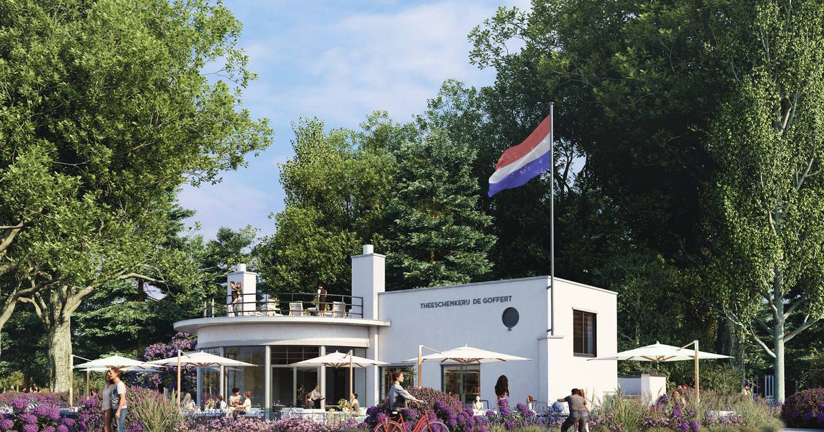 Ze wilden het bijltje erbij neer gooien, nu komt de droom van deze ...