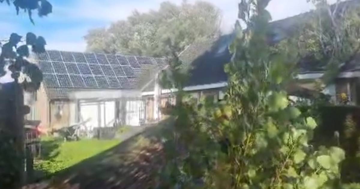 Korte, hevige wind doet boom sneuvelen in Mendonk: dak van woning ...