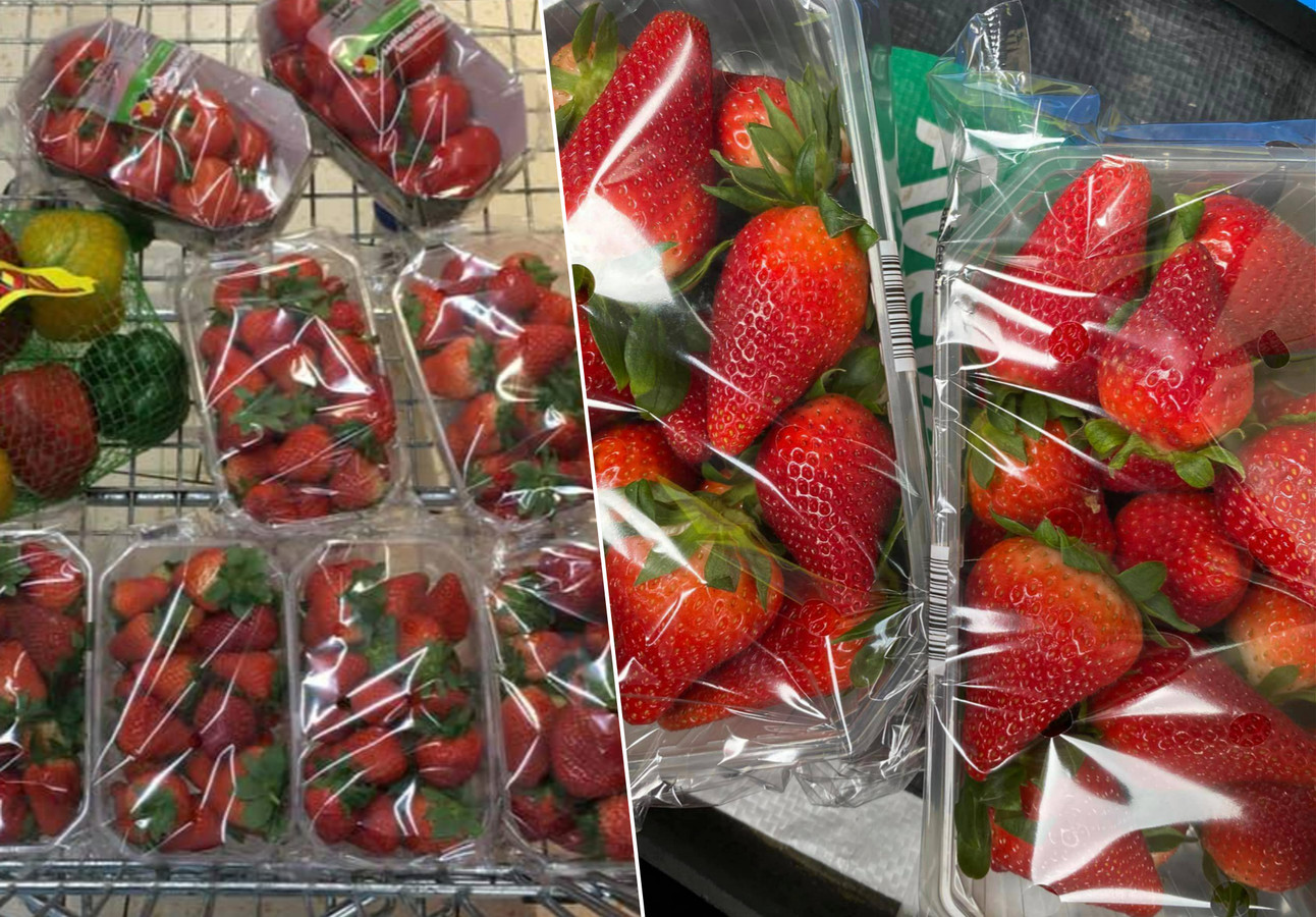PROMOJAGERS SUPERTIP. Hier koop je bakje aardbeien van 500 gram voor ...