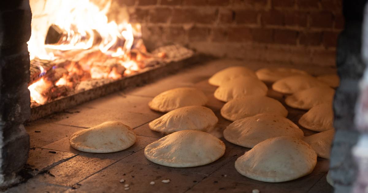 Wandelen en ovenverse geutelingen proeven in Michelbeke | Brakel | hln.be