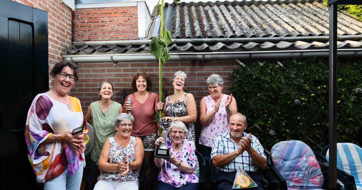 De bijzondere zonnebloem-geschiedenis van de Oerlese familie De Lepper ...