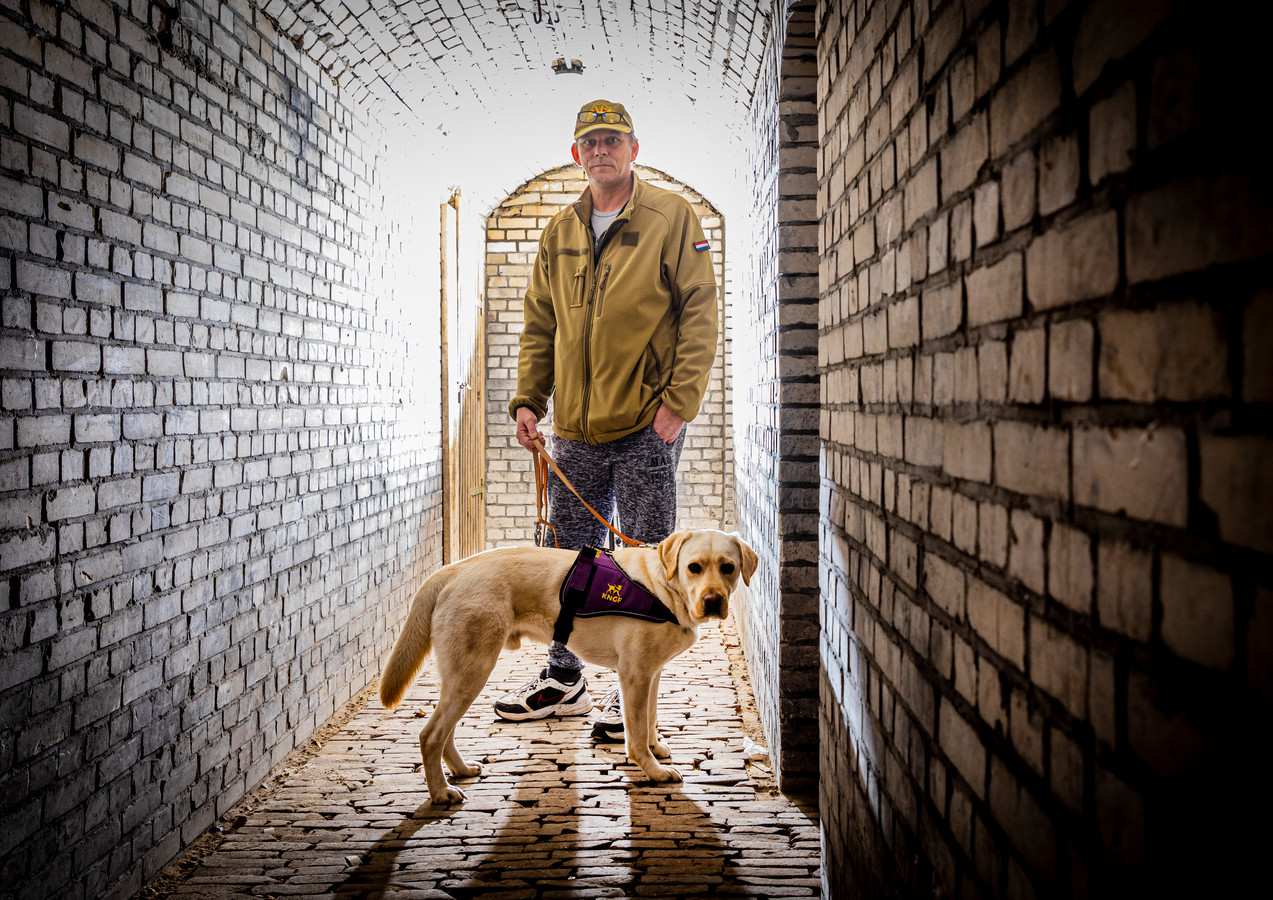 Oorlog in Oekraïne zet veteranen in Nederland op scherp: ‘Als ze morgen ...