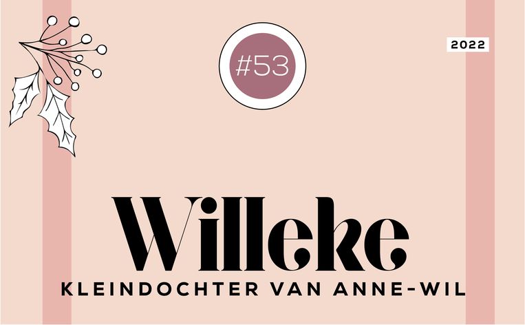 Dagboek van Willeke: “Ik ben afgeleid door een mail van de conrector”