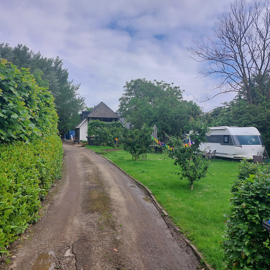 Oud-corporatiebaas Walter Vermeulen moet de cel in: ‘Over de rug van ...