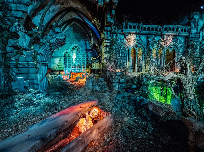 Gaan vleermuizen de sloop van het Spookslot in de Efteling alsnog tegenhouden? | Binnenland ...