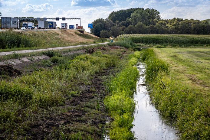 Dalend grondwaterpeil wordt een steeds groter probleem: ‘Wat we nu doen ...