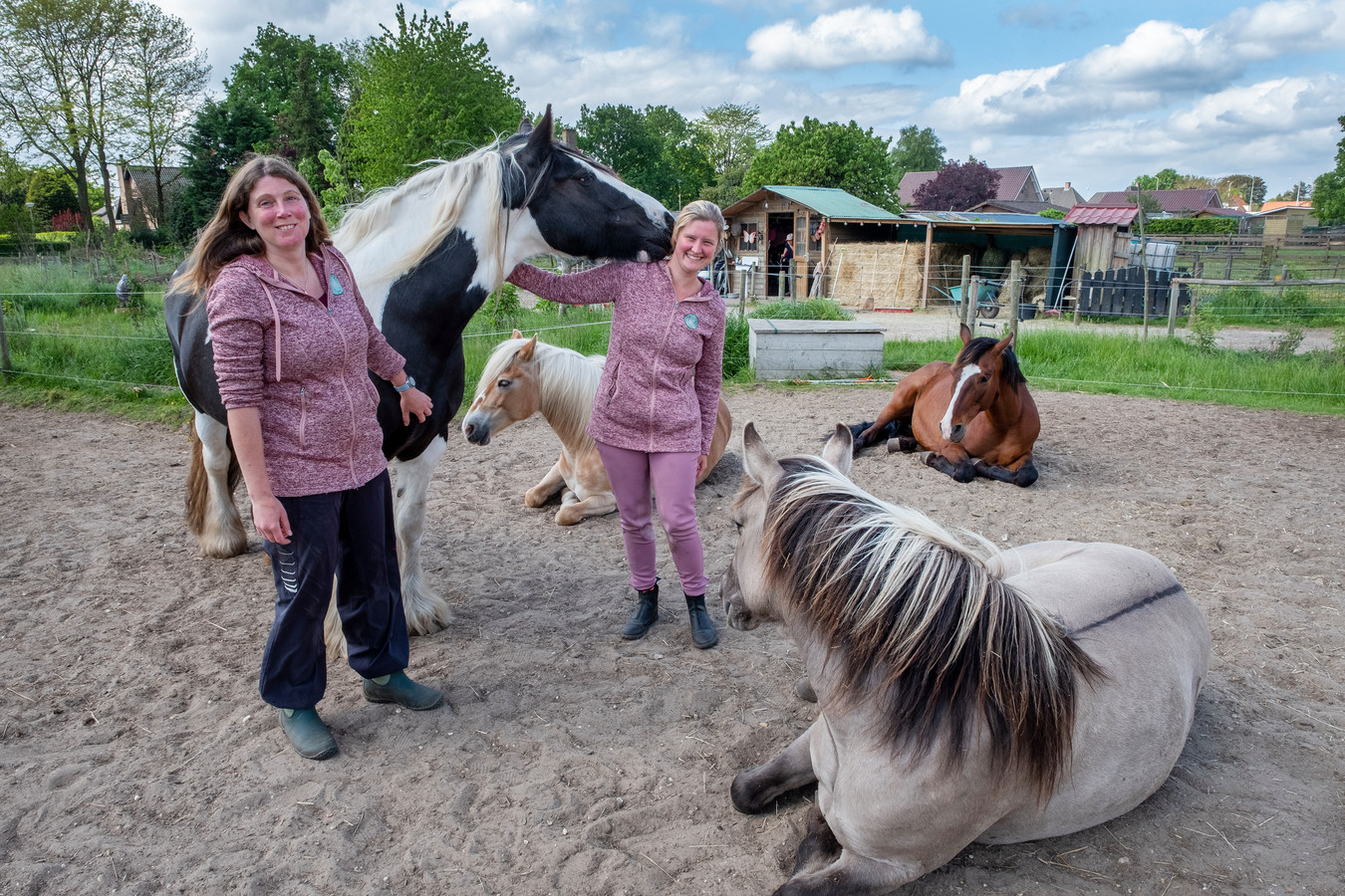 Moet de manege écht weg? Dan met paarden naar het gemeentehuis in ...