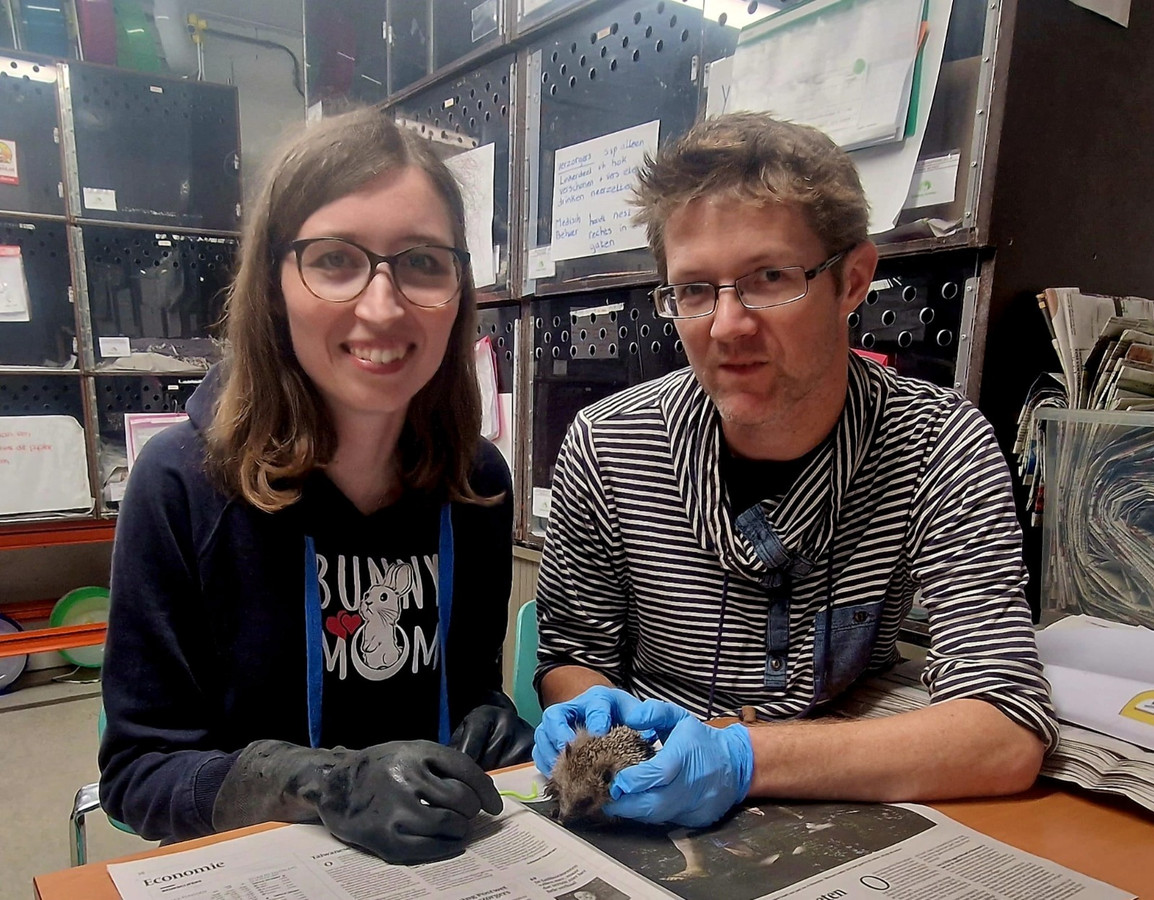 Stef en Frederique willen de eerste wildopvang van Utrecht openen ...