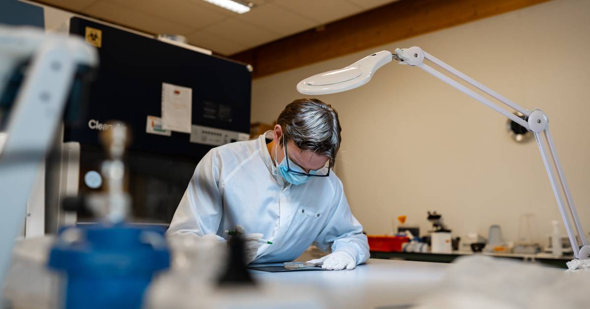 Dankzij Senzer heeft Daan een baan; nu nog hulp vanuit Den Haag voor ...