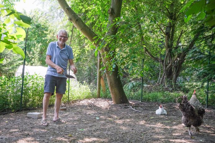 REPORTAGE. Lang een ‘vergeten hoek’, maar vandaag heeft het tussen de ...