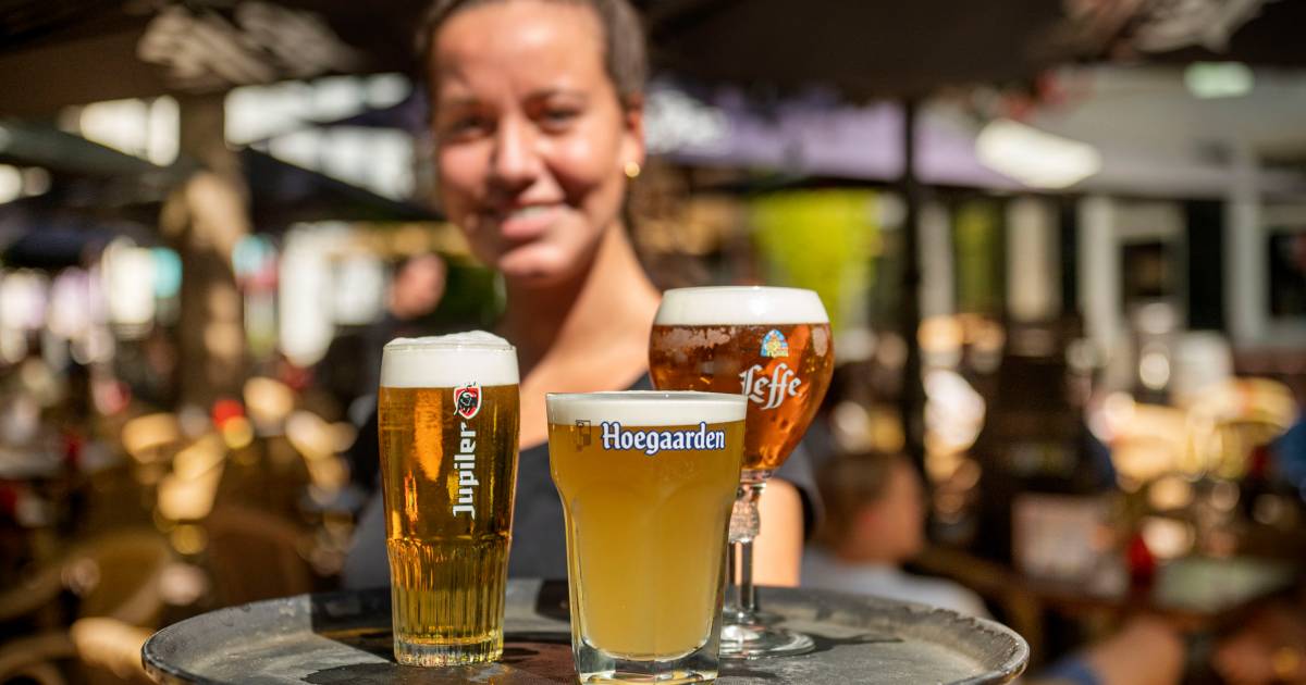 Prijst het pilsje zich met de nieuwste prijsverhoging uit het café ...