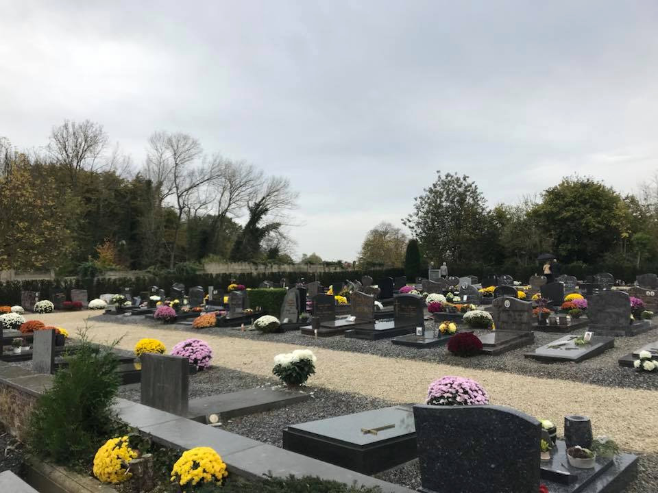 Gemeentebestuur Glabbeek investeert in natuurbegraafplaats | Foto | hln.be