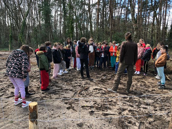 Leerlingen Campus Kajee planten eerste ‘tiny forest’ in België | Schoten | hln.be