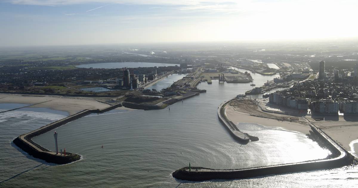 21-jarige man springt in havengeul om aan politie te ontkomen: man was ...