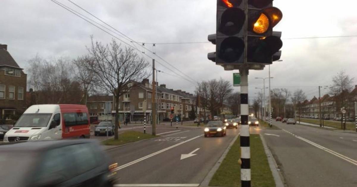 Hom of kuit kunstgras | Arnhem | gelderlander.nl