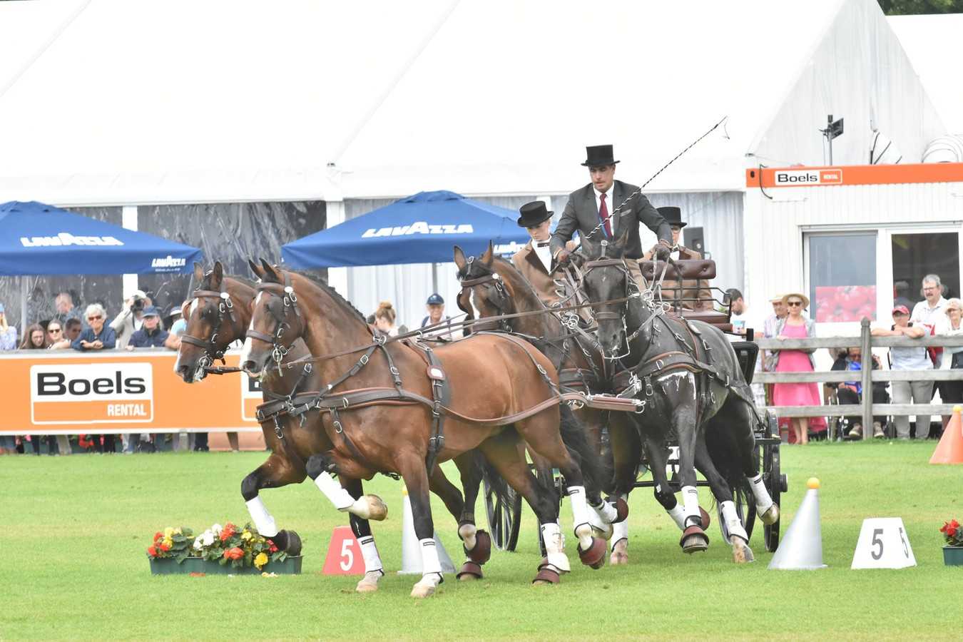Paardenmenner Dries Degrieck (25) verliest wildcard voor ...
