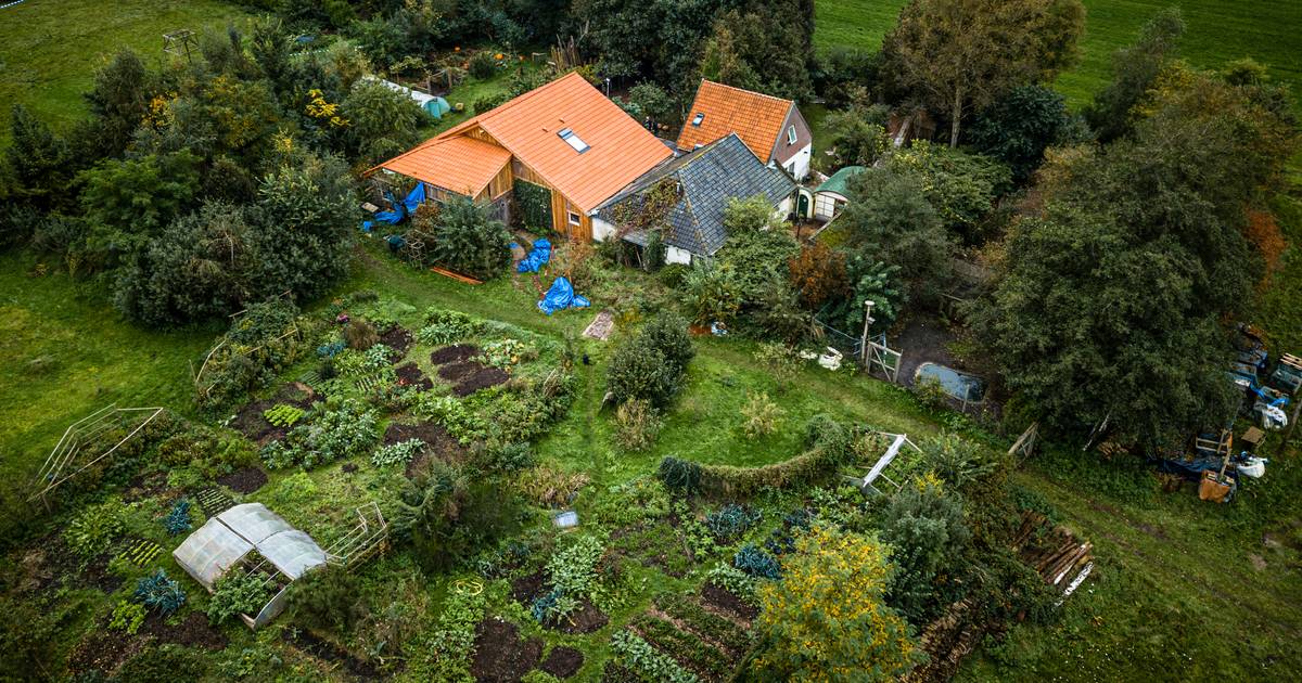 Ontsnapte zoon Ruinerwold-gezin trok enkele dagen voor inval in ...