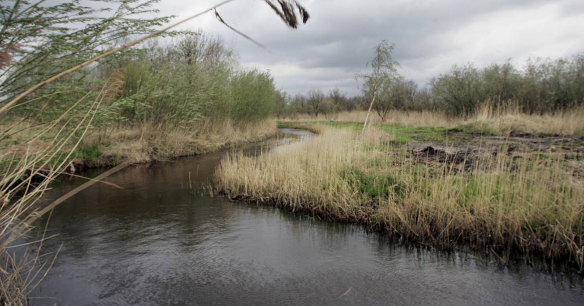 Stroken rond beken bij Deurne gaan natuurgebieden met elkaar verbinden ...