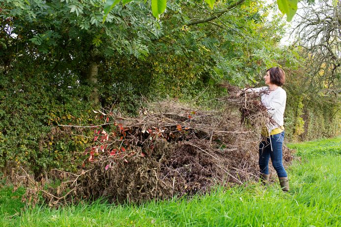 “Breng snoeiafval niet naar het containerpark, je kan het zelf handig ...