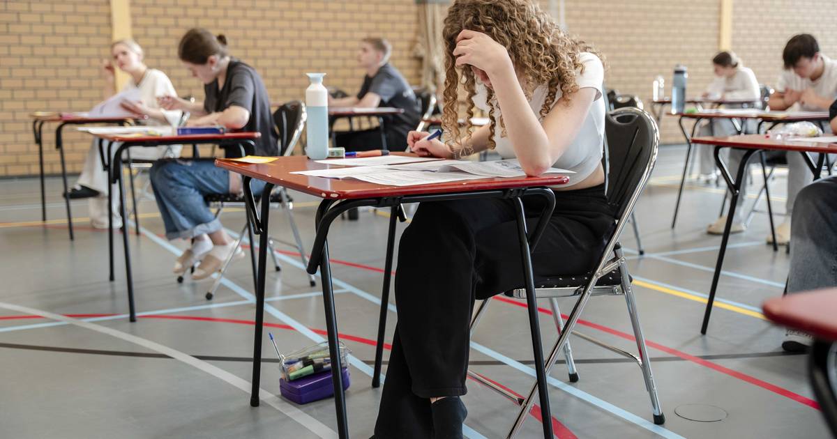 Een Nederlandse leerling heeft per jaar 102 toetsen, dat kan best wat ...