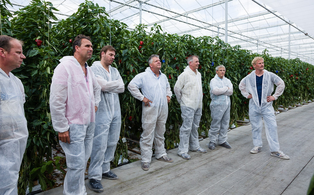 Rijk Zwaan mag Seed Quality Center bouwen in De Lier | Foto | AD.nl