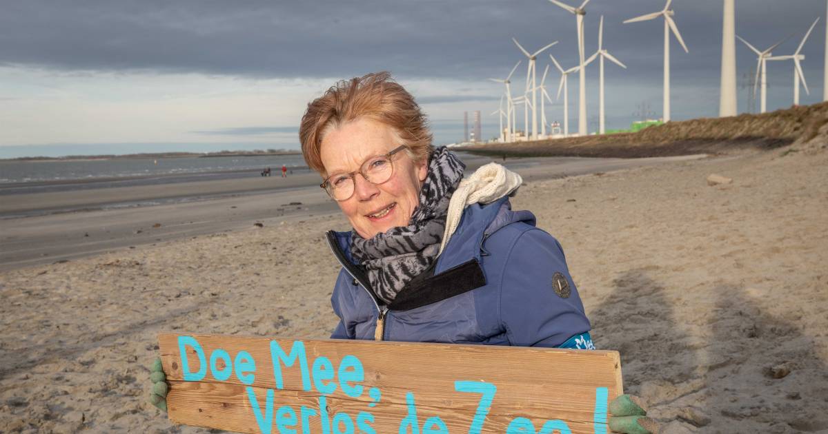 Compliment voor niet-aflatende inzet voor schone zee en strand | Goes ...